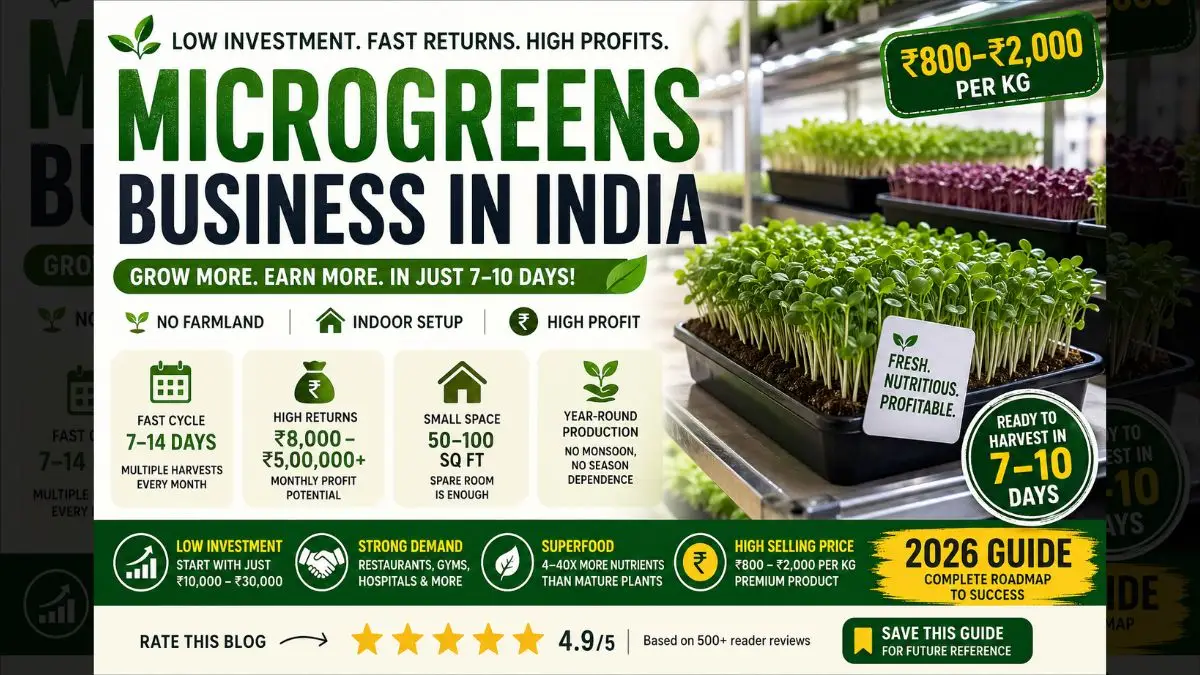 Microgreens Business in India: Complete Guide to Start, Earn, and Grow ...
